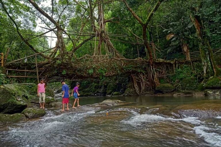 Explore the Living Root Bridges in Meghalaya